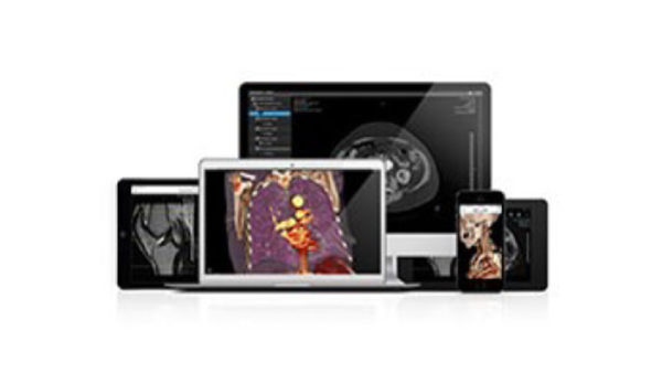 SYNAPSE MOBILITY – Global Technology